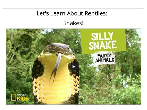 Book Creator | Let's Learn About Reptiles