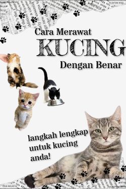 Book Creator | Tips Merawat Kucing