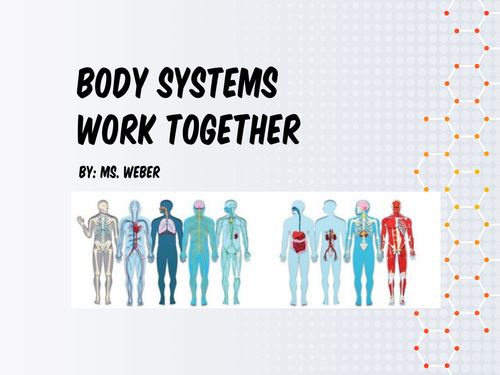 Book Creator | Body Systems Work Together