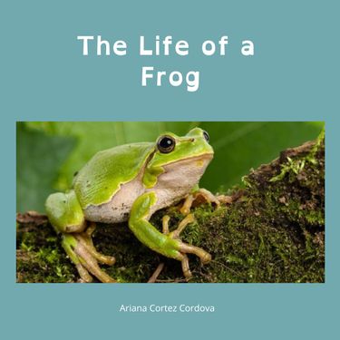 Book Creator | The Life of Frog