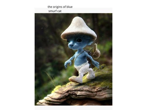 Book Creator | the origins of blue smurf cat