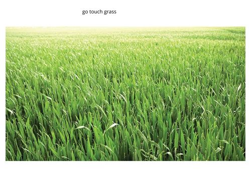 Book Creator | go touch grass