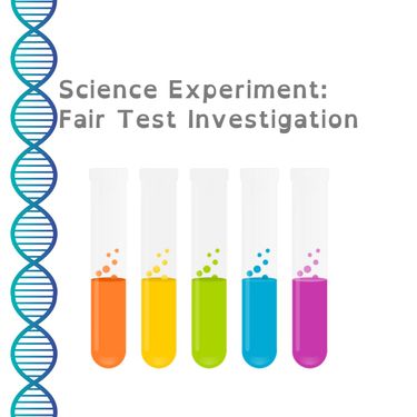 Book Creator | Fair Test Investigation