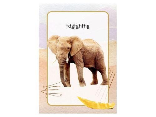 Book Creator | ghfghgh