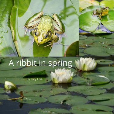 Book Creator | Ribbit in spring