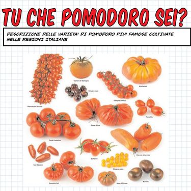 Book Creator | TU CHE TIPO DI POMODORO SEI?