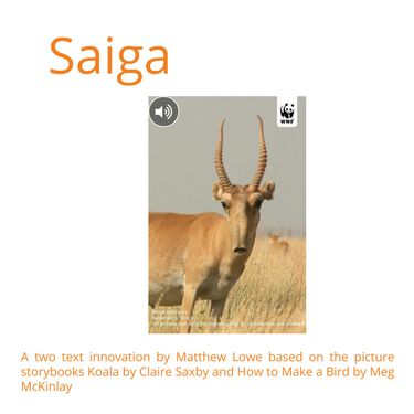 Book Creator | Saiga