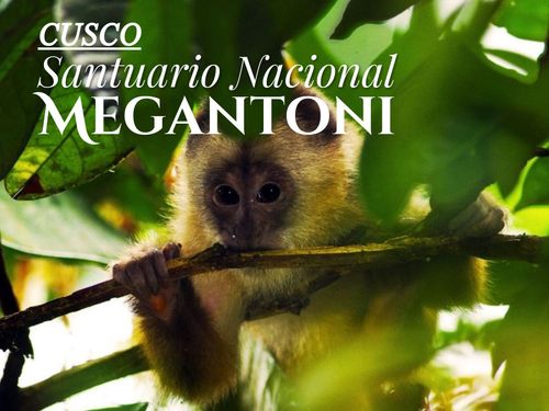 Book Creator | "Santuario Nacional MEGANTONI"