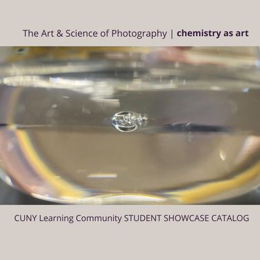 Book Creator | The Art & Science of Photography, chemistry as art