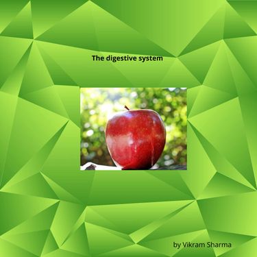 Book Creator | The story of digestion