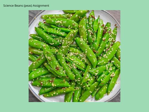 Book Creator | Peas Assignment