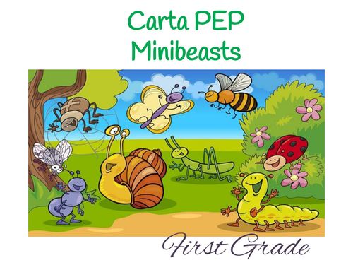 Book Creator | CARTA PEP