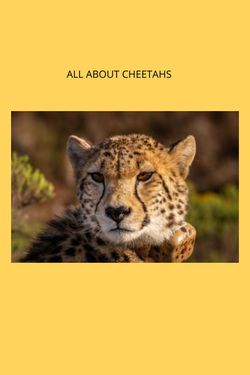 Book Creator | All About Cheetahs