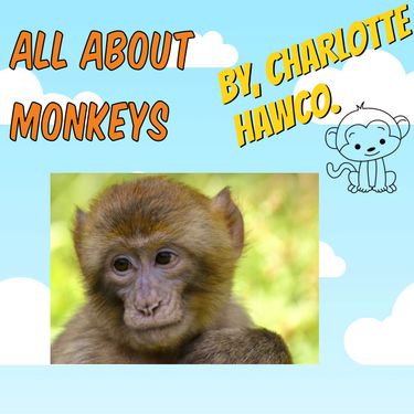 Book Creator | All About Monkeys
