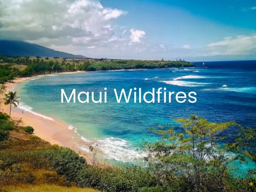 Book Creator | Maui Wildfires