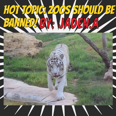 Book Creator | Jaden's Hot Topic Research