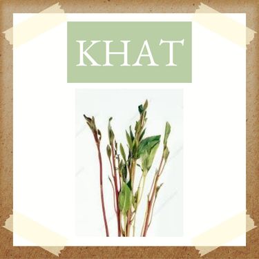 Book Creator | Khat