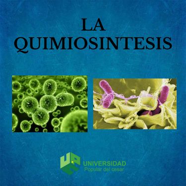 Book Creator | Quimiosintesis