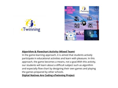 Book Creator | Algorithm&Flowchart Activity (Mixed Team)