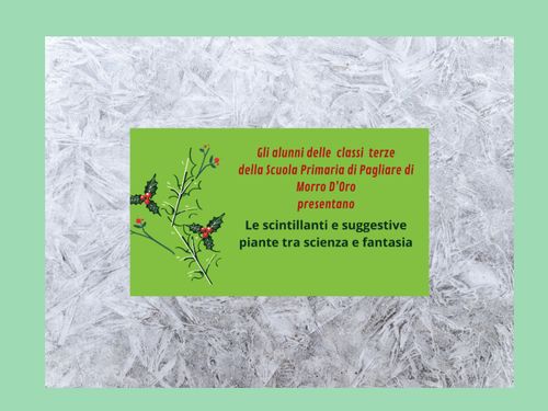 Book Creator | Le scintillanti e suggestive piante tra scienza e fantasia.