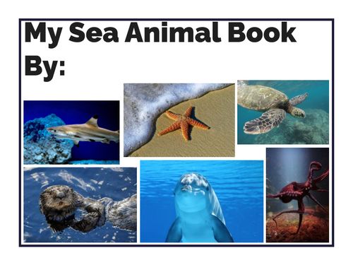 Book Creator | My Sea Animal Book