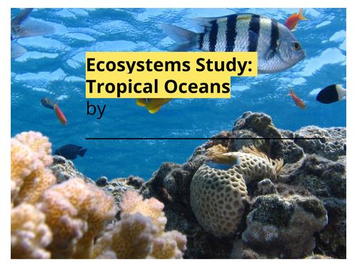 Book Creator | ECOSYSTEM A new book