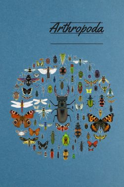 Book Creator | Arthropods - Zoology