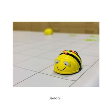 Book Creator | Beebots