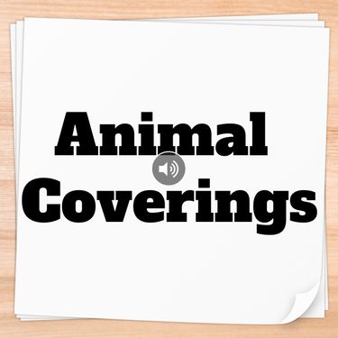 Book Creator | Animal Coverings