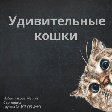 Book Creator | Удивительные кошки