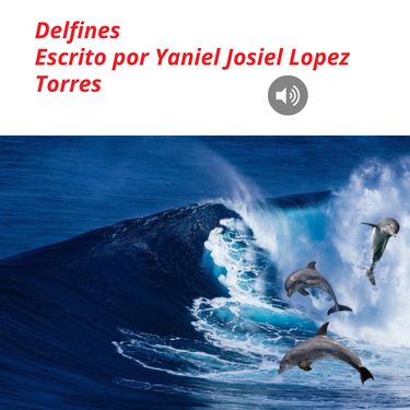 Book Creator | delfines