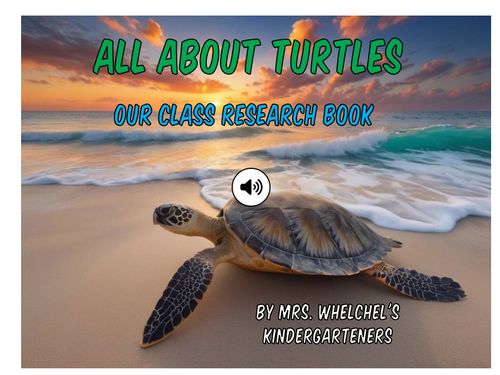 Book Creator | Our Turtle Research Project