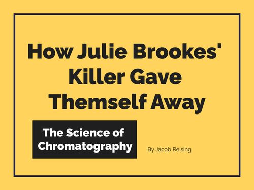 Book Creator | (copy) How Julie Brookes' Killer Gave Themself Away