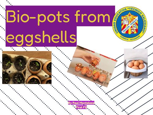Book Creator | Bio-pots from eggshells