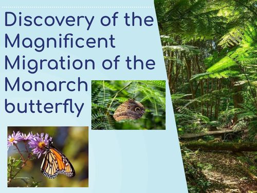 Book Creator | Discovery of the Magnificent Migration of the Monarch ...
