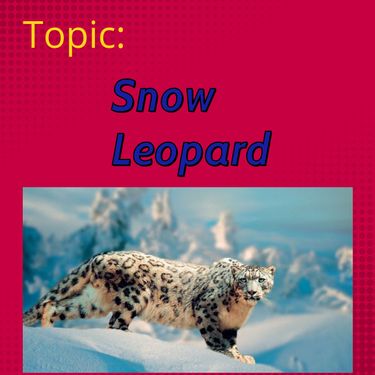 Book Creator | Snow leopard