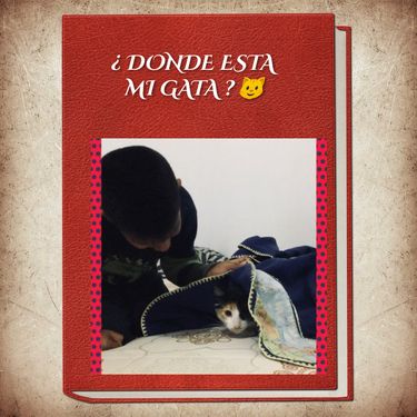 Book Creator | ¿Dónde esta mi gata?