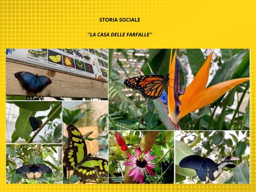 Book Creator | LA CASA DELLE FARFALLE