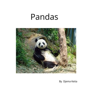 Book Creator | Pandas