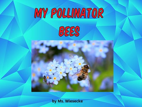 Book Creator | My Pollinator Book