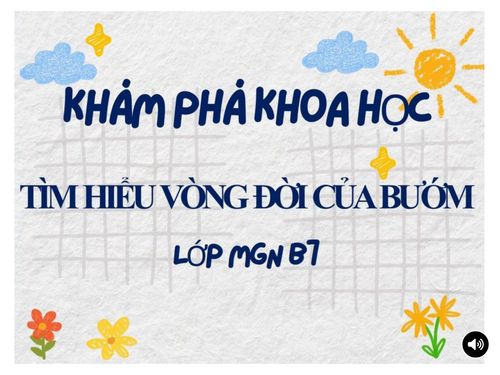 Book Creator | TÌM HIỂU VÒNG ĐỜI CỦA BƯỚM