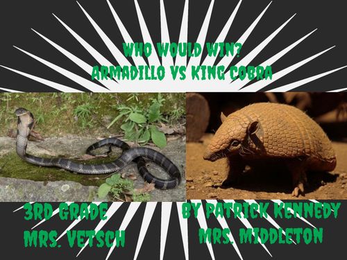 Book Creator | Armadillo vs. King Cobra
