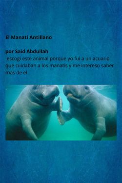 Book Creator | El Manati