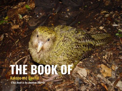 Book Creator | The Book of Kakapo and Kowhai