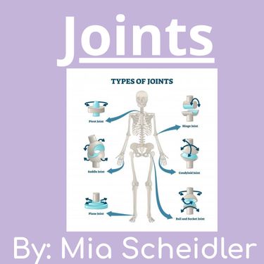Book Creator | Joints!