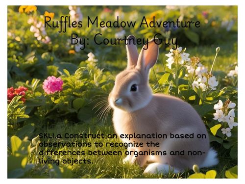 Book Creator | Ruffles Meadow Adventure