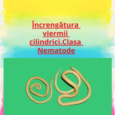 Book Creator | îNCRENGĂTURA VIERMII CILINDRICI
