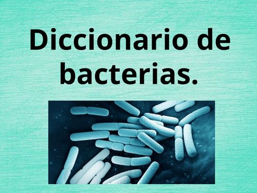 Book Creator | Diccionario de bacterias