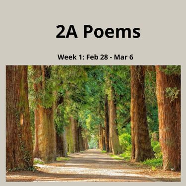 Book Creator | 2A Awesome Poems