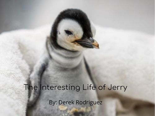 Book Creator | The Interesting Life of Jerry